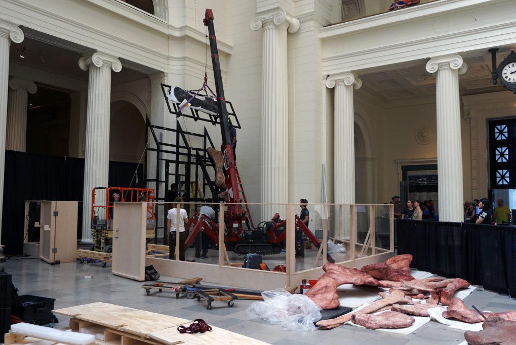Dinosaur in progress – Celia: Her City